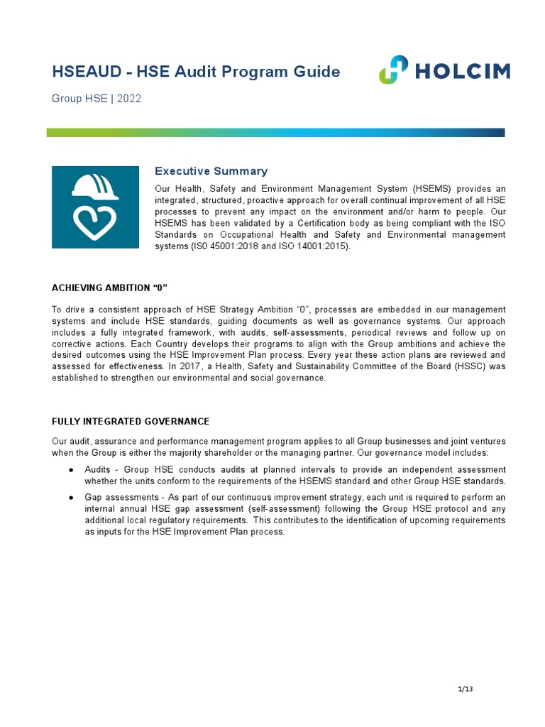 Hseaud - Hse Audit Program Guide - 2021 | PDF | Business | Computers