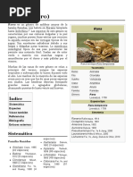 Rana Nodriza Niputidea (Allobates Niputidea) NaturaLista Colombia | PDF