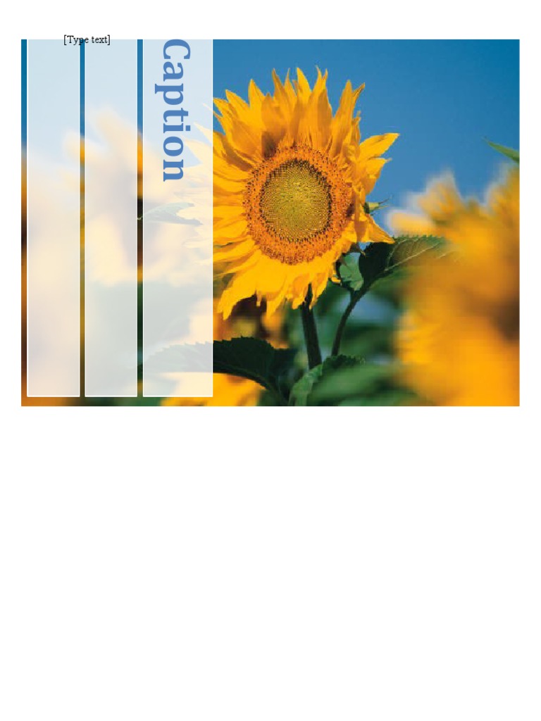 Understanding Caption Text Structure | PDF | Linguistics