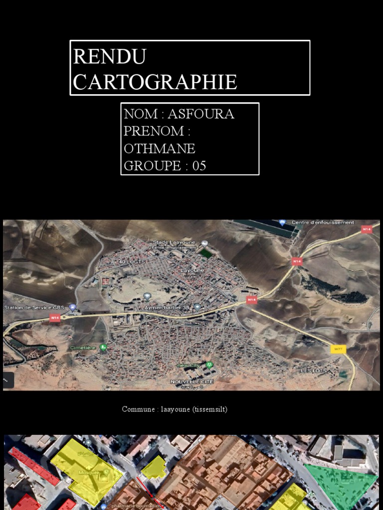 Carto | PDF