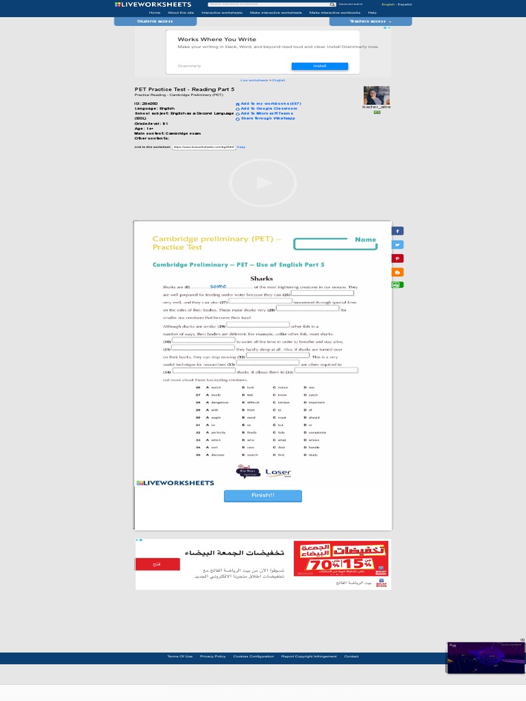 PET Practice Test - Reading Part 5 Worksheet | PDF
