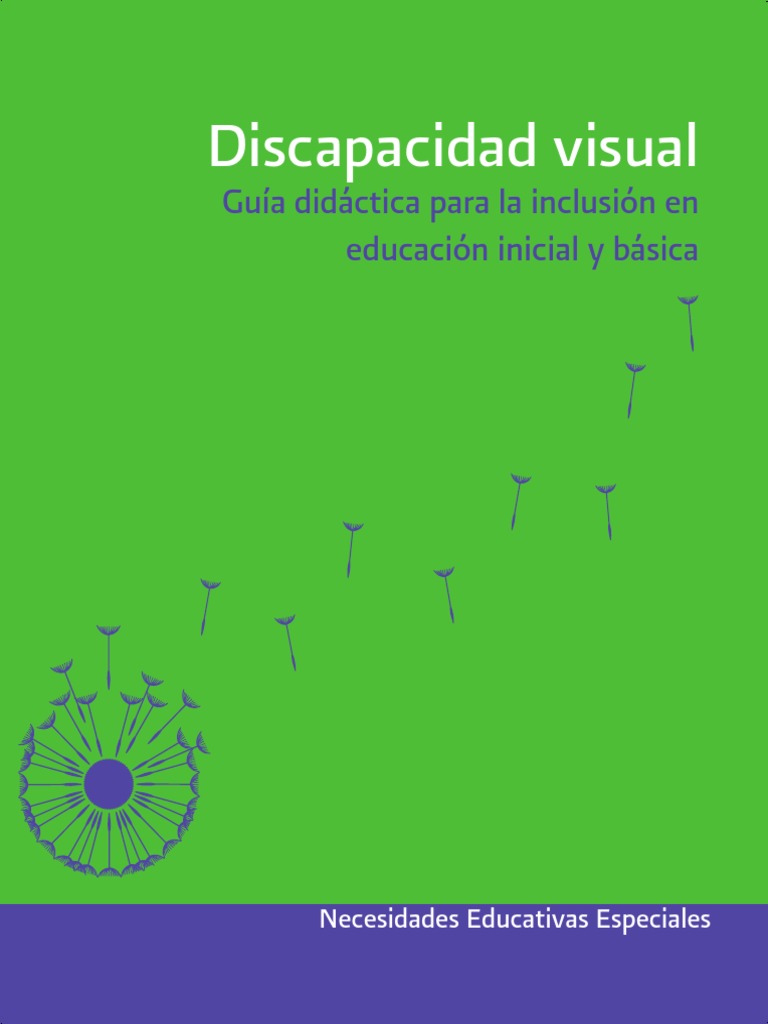 Guía Discapacidad Visual | PDF