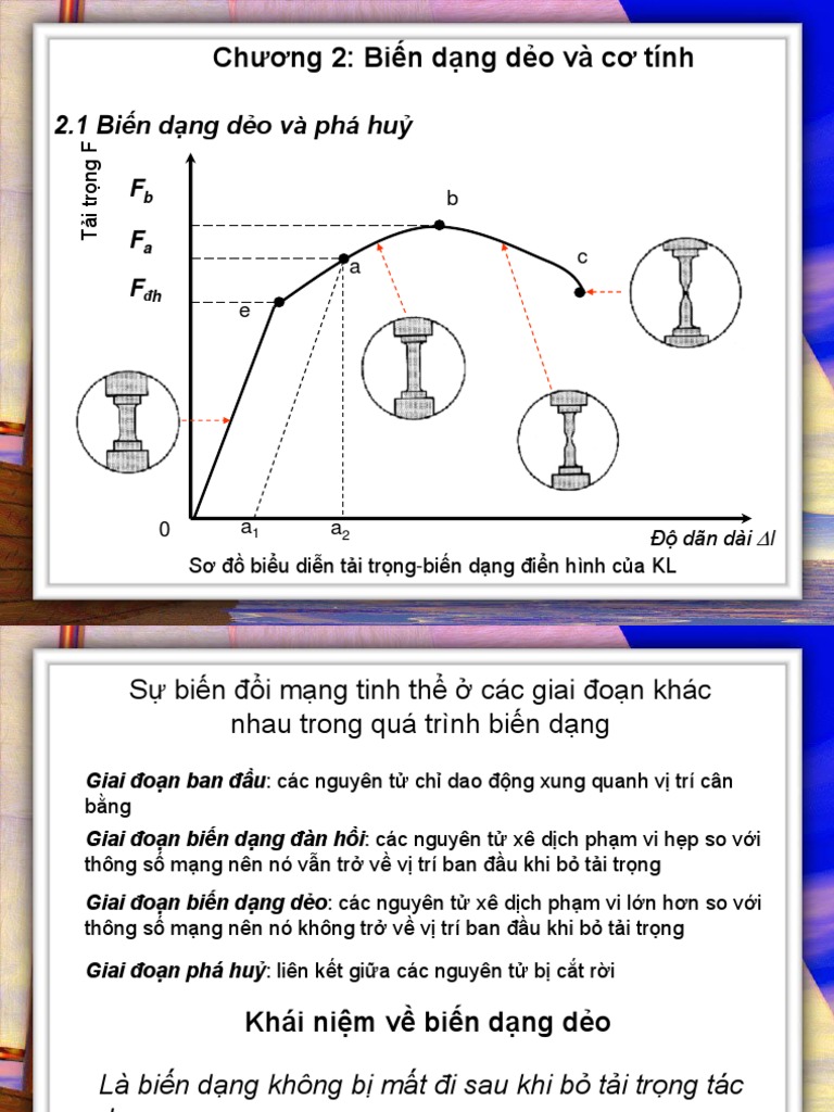 Chuong 2 Bien Dang Deo | PDF