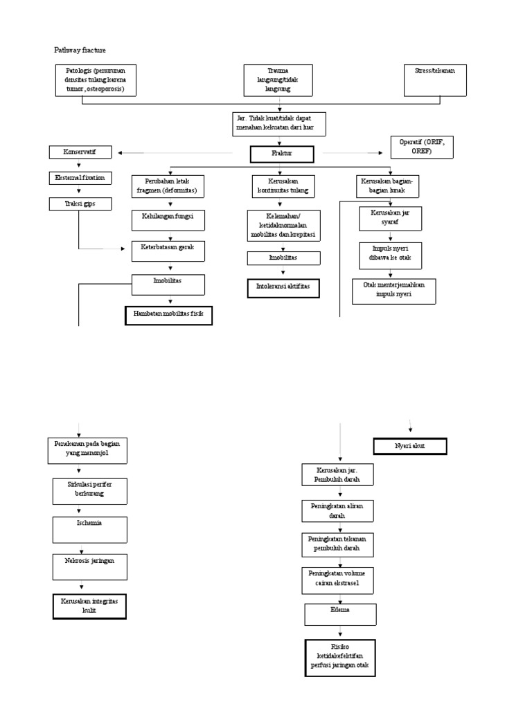 Pathway Fraktur-60169856 | PDF