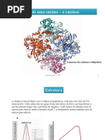 Teste de Schiller | PDF | Câncer cervical | Câncer