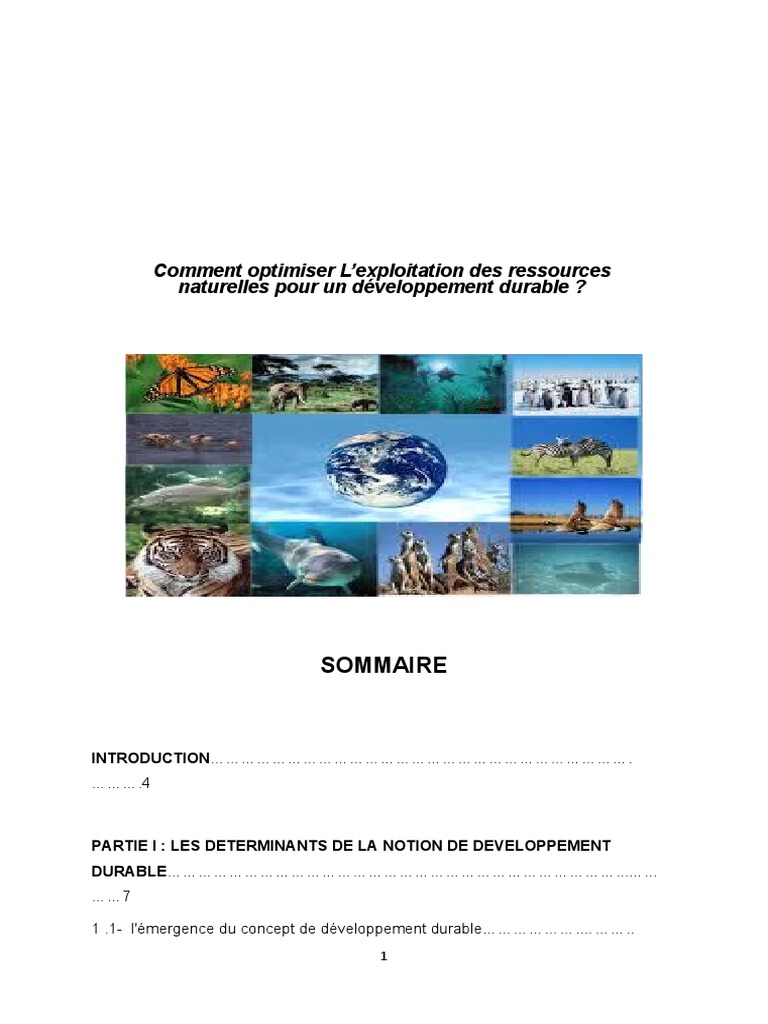 Gestion Des Ressources Naturelles | PDF | Environnement naturel ...
