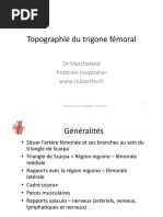 Anatomie de la Loge Rénale et Pédicule | PDF | Péritoine | Rein