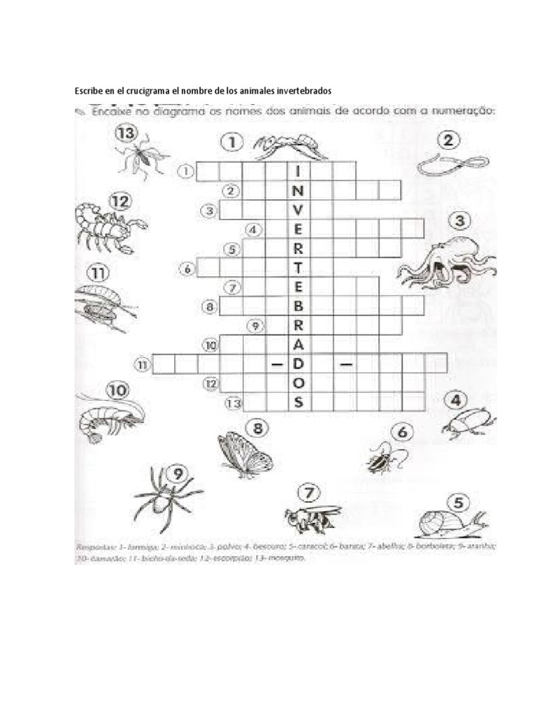 Escribe en El Crucigrama El Nombre de Los Animales Invertebrados | PDF