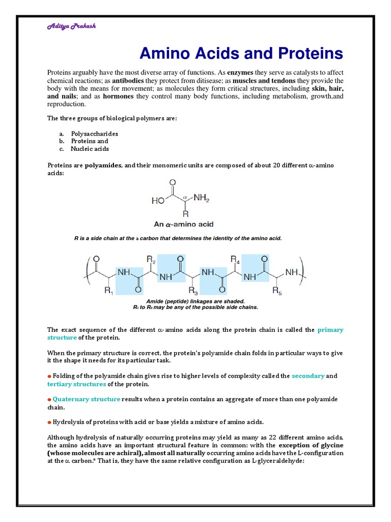 PROTEINS | PDF | Protein Structure | Amino Acid