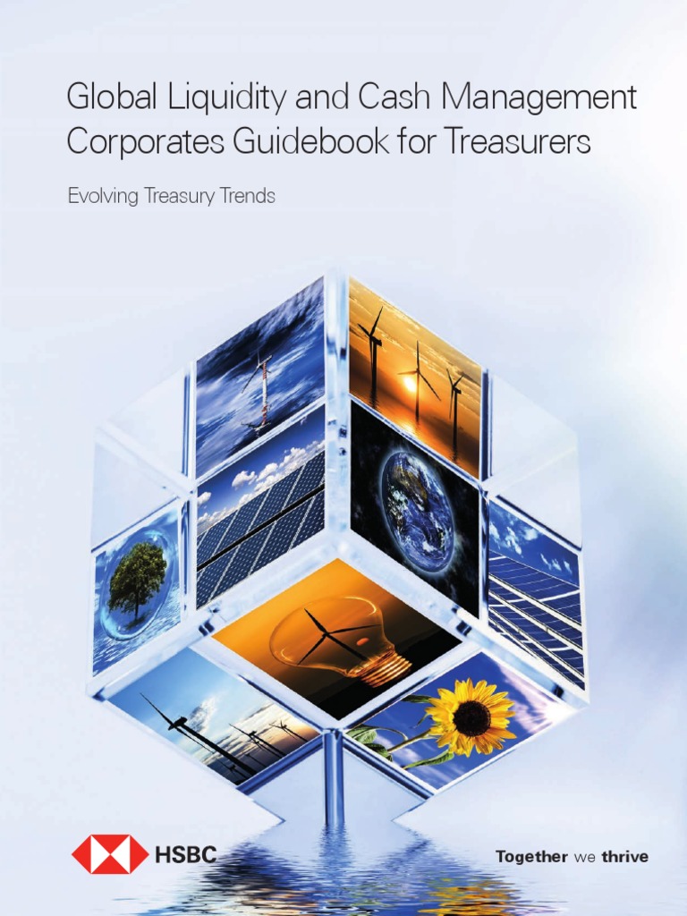 Global Liquidity Management Guide For Treasurers Pdf Innovation Hsbc