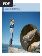 Colour Prediction | PDF