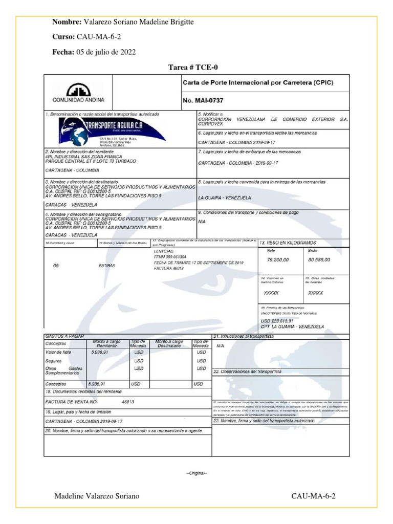 Documentos Aduaneros | PDF