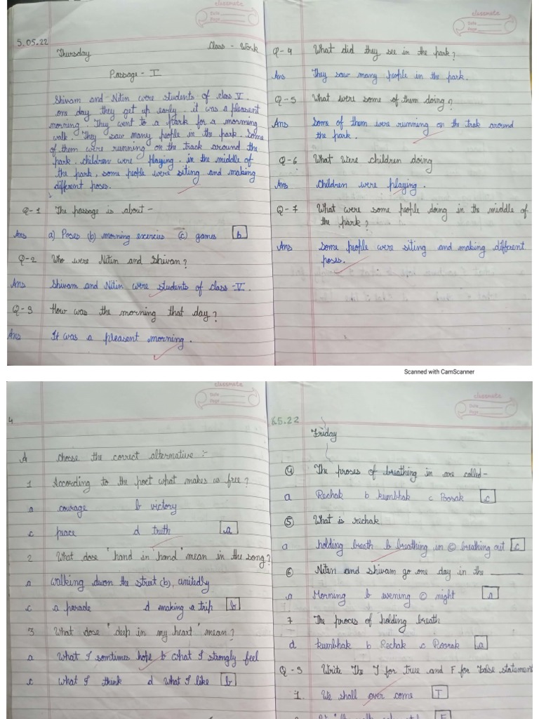 English Class 5 | PDF