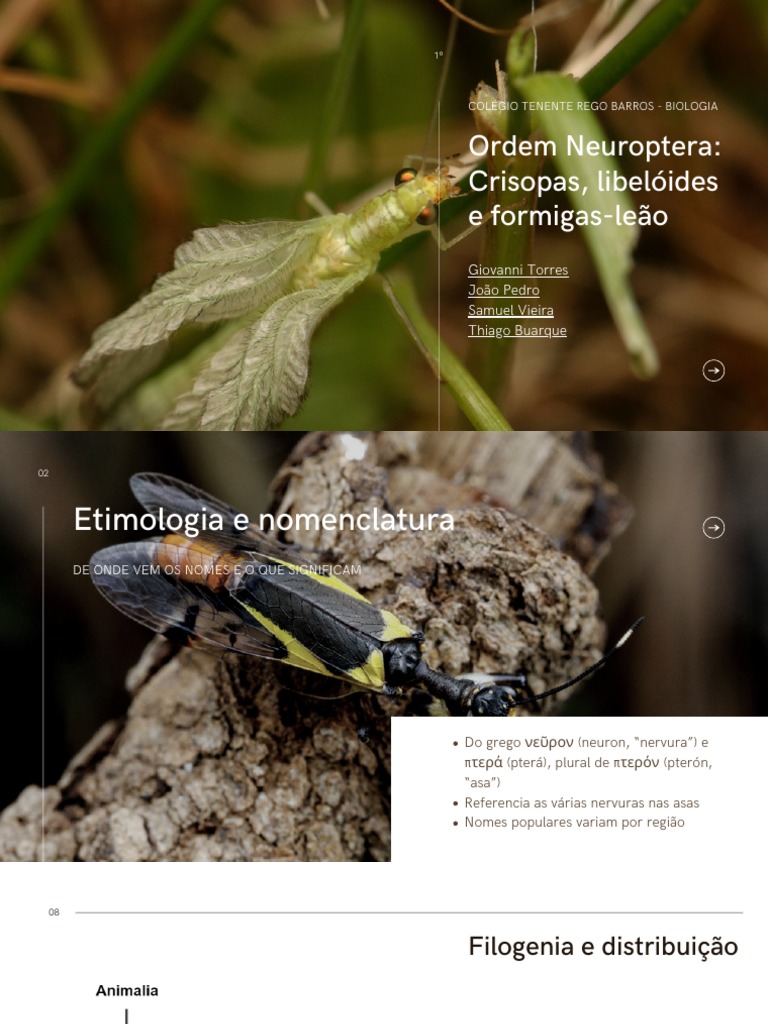 Características morfológicas, ciclo de vida, importância ecológica e ...