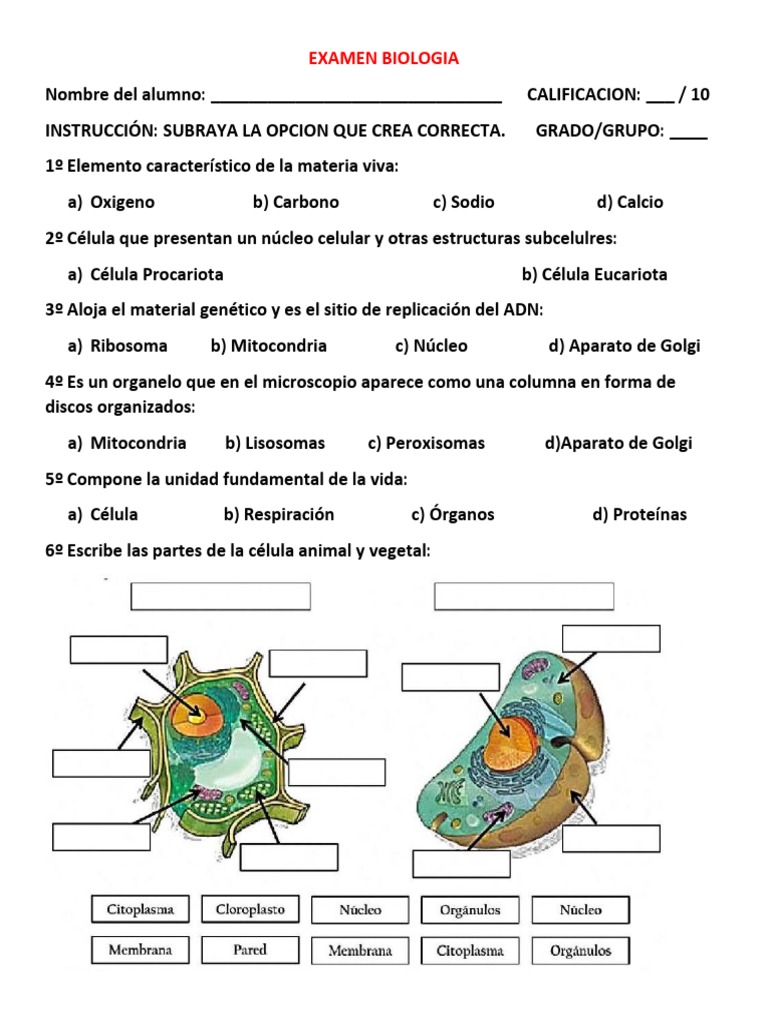 Examen Biologia I | PDF | Biología Celular) | Biología