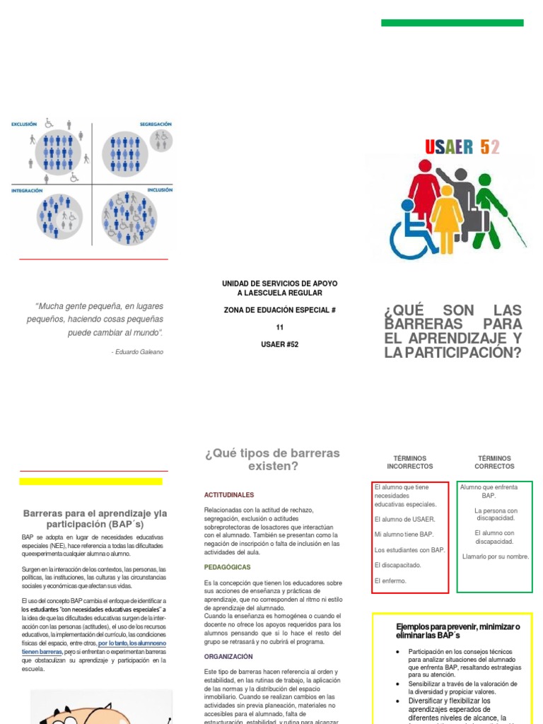 BAPs Triptico | PDF | Inclusión (Educación) | Aprendizaje