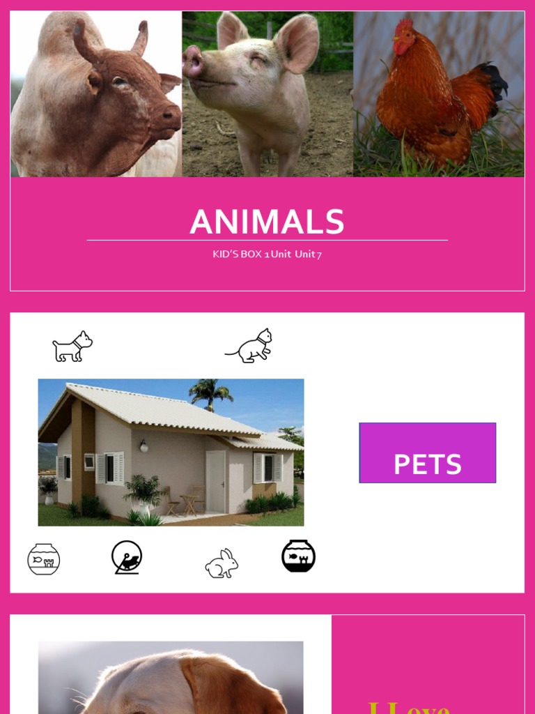 KID'S BOX 2 UNIT 7 Farm Animals | PDF