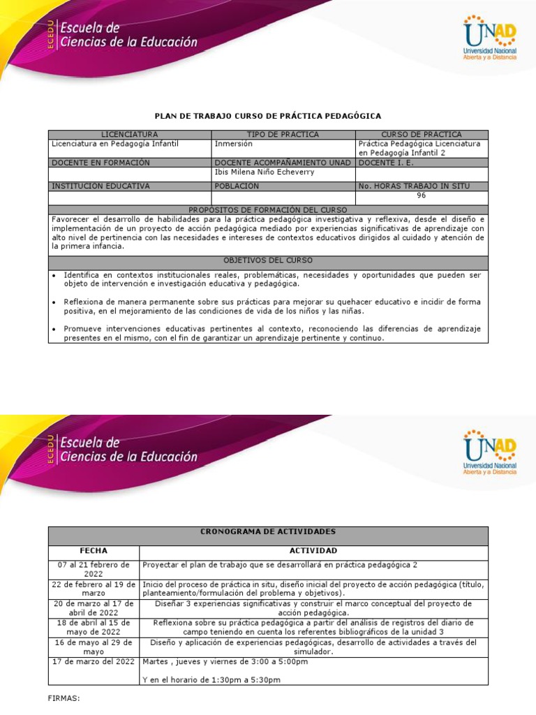 4 - Plan de Trabajo - Karen Robles | Descargar gratis PDF | Maestros ...