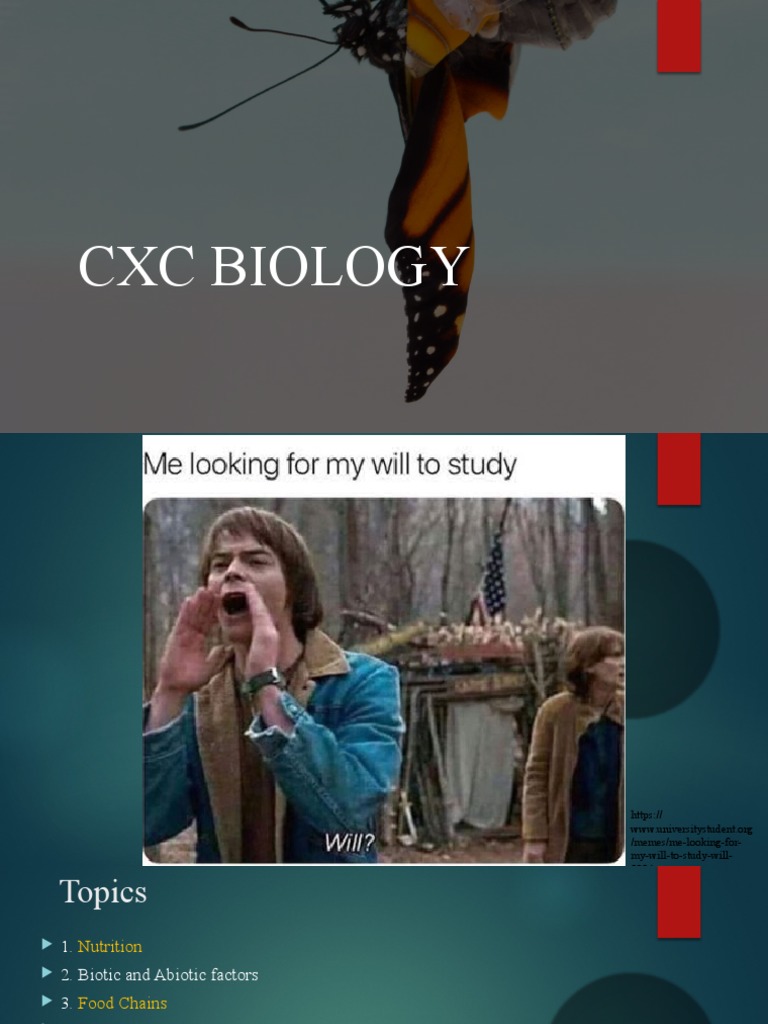July 6 CXC Biology | PDF | Atrium (Heart) | Diastole