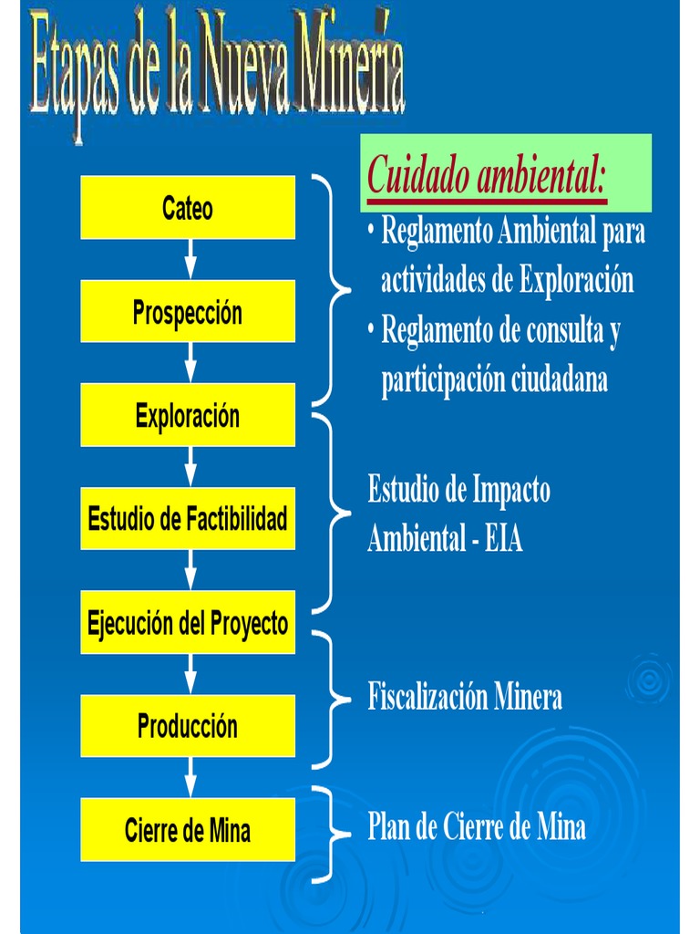 Legislacion Minera Examen | Descargar gratis PDF | Evaluación de impacto ambiental | Minería
