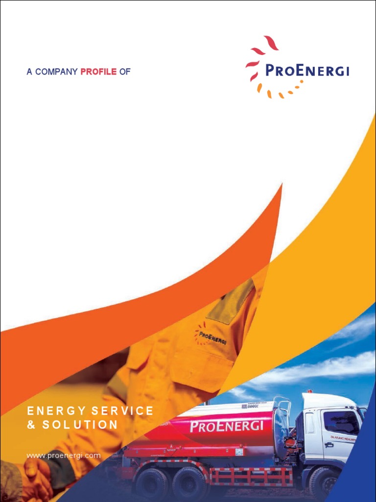 Pro Energi Company Overview | PDF | Diesel Fuel | Fuels