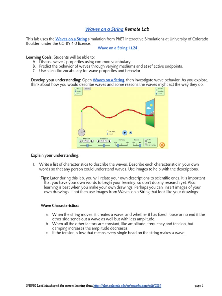 Hildana Hailu - Waves On A String Lab | PDF | Waves | Damping