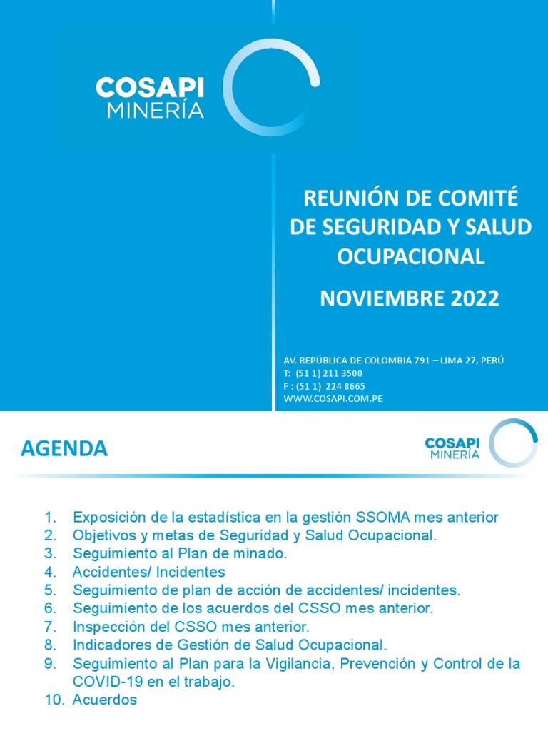 Comité SSO - Noviembre - 2022 | PDF | Perú | Naturaleza