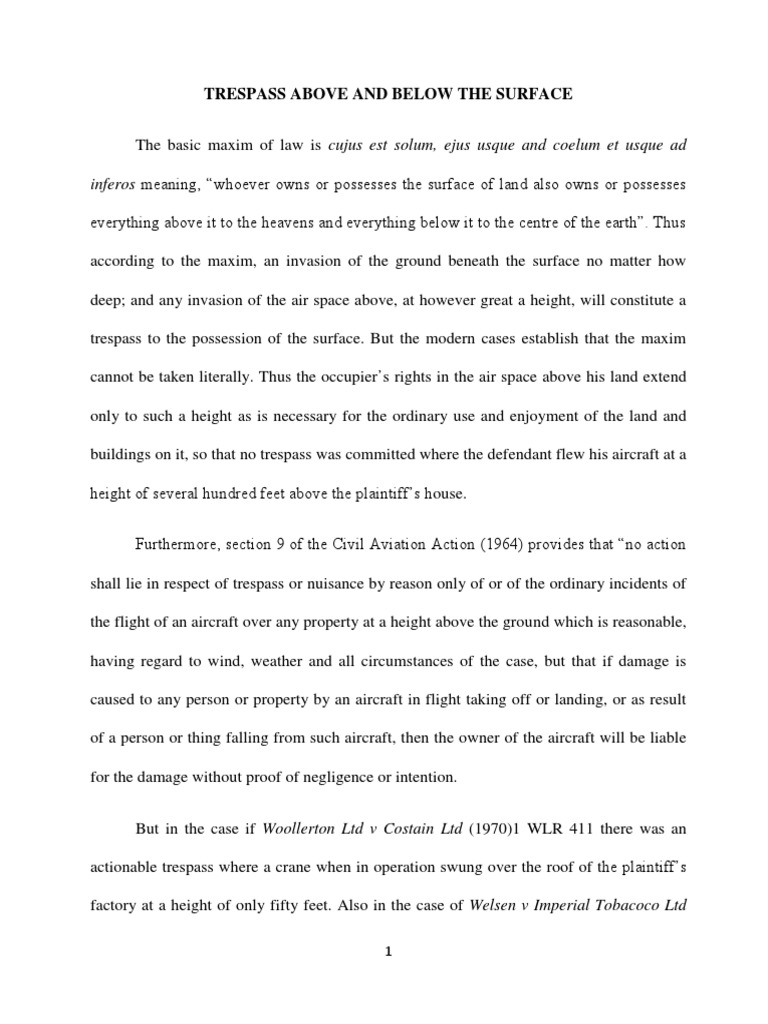 Law of Tort | PDF | Conversion (Law) | Trespass