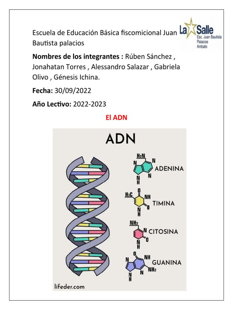 Proyecto Del ADN | PDF | Adn | Genética