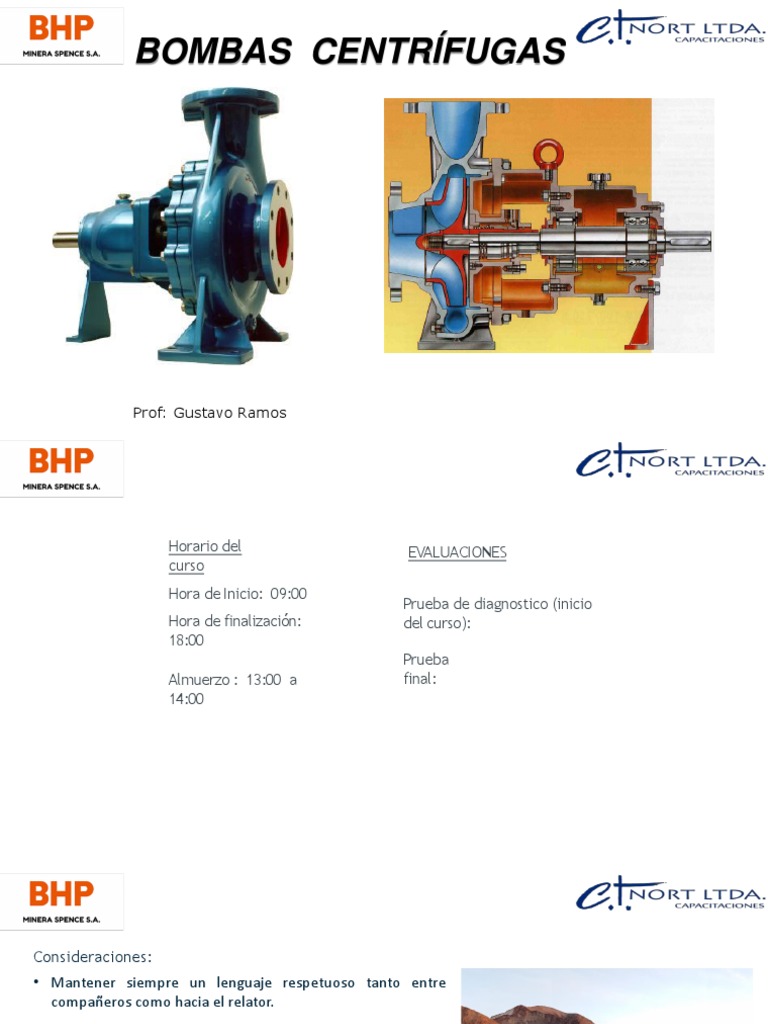 Bombas Centrifugas1 | PDF | Rodamiento (Mecánico) | Bomba
