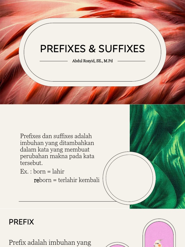 Prefixes & Suffixes | PDF