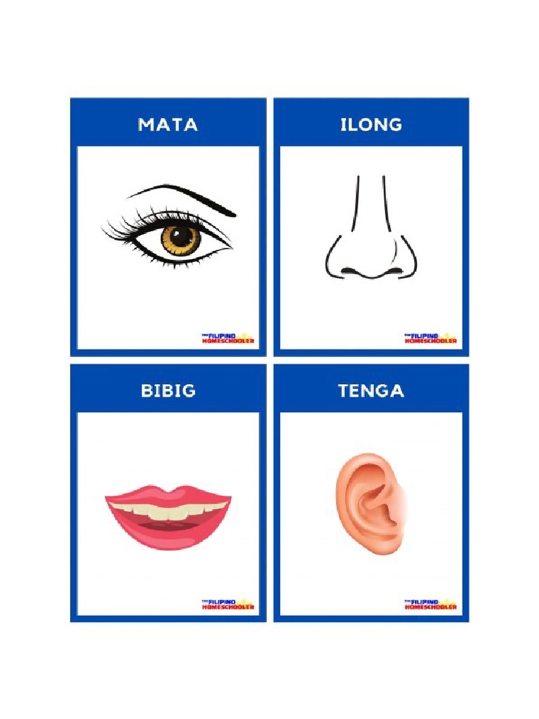 Tagalog Flashcard | PDF