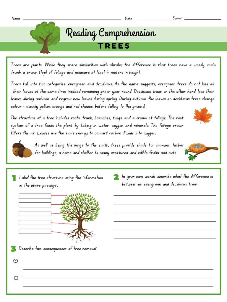Green Trees Reading Comprehension Worksheet | PDF