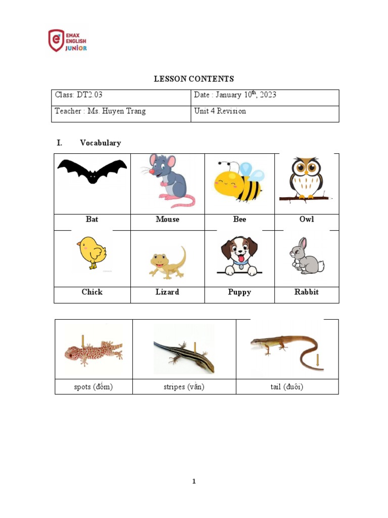 Unit 4 Revision | PDF