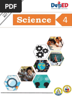 Grade 4 Life Cycles of Animals | PDF | Pupa | Insects