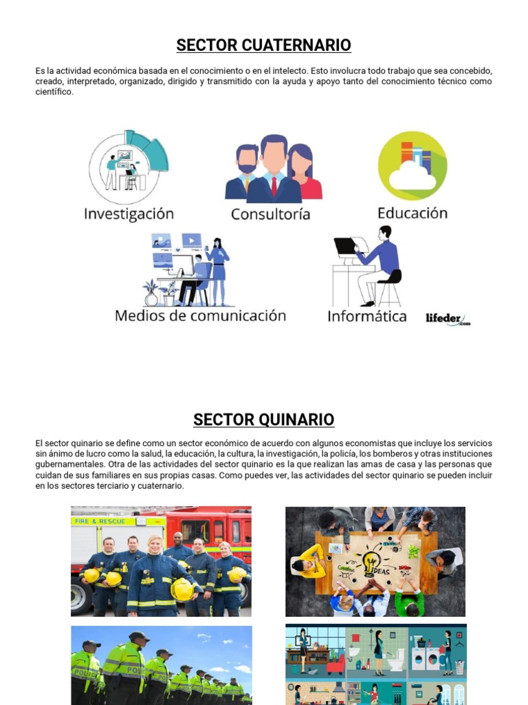 Sector Cuaternario - Quinaria | PDF