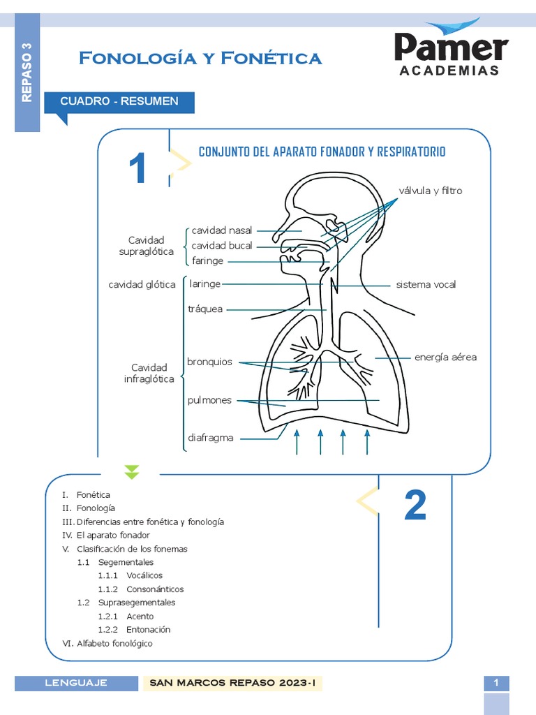 Lenguaje - R3 - Fonologia y Fonetica | PDF | Fonética | Fonema