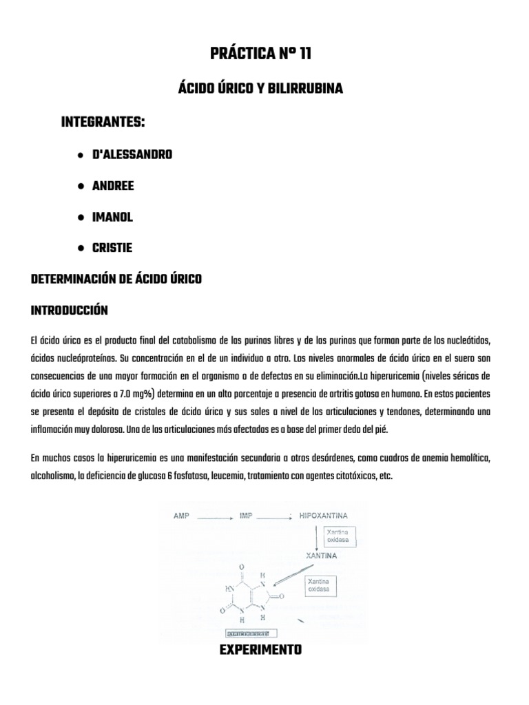 Práctica de Ácido Úrico y Bilirrubina | PDF | Gota | Bilis