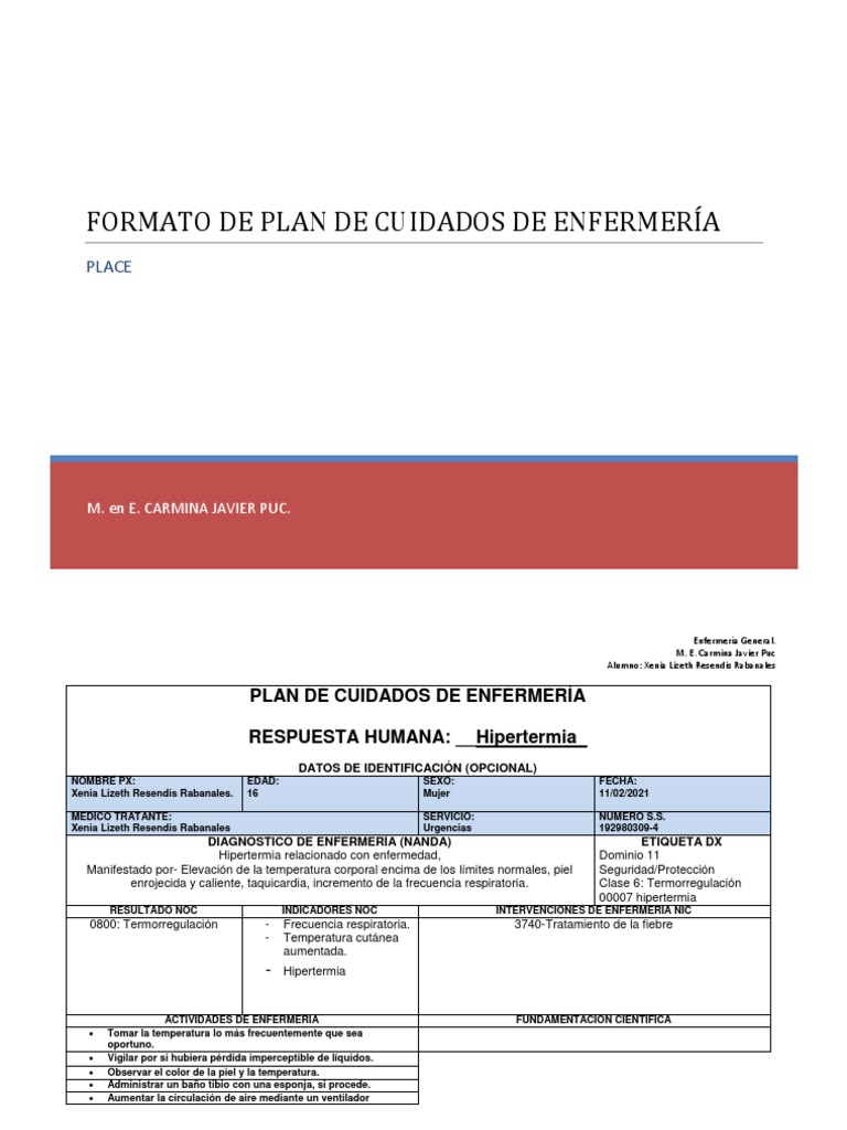 FORMATO PLACE (Enfocado en El Problema) | PDF | Enfermería ...
