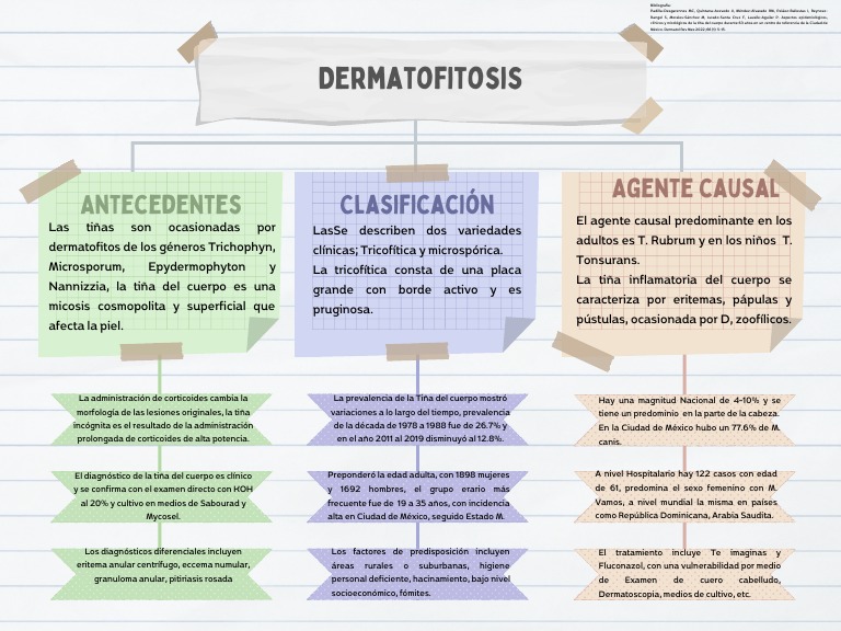 Dermatofitosis | PDF | Hongo | Condiciones cutáneas
