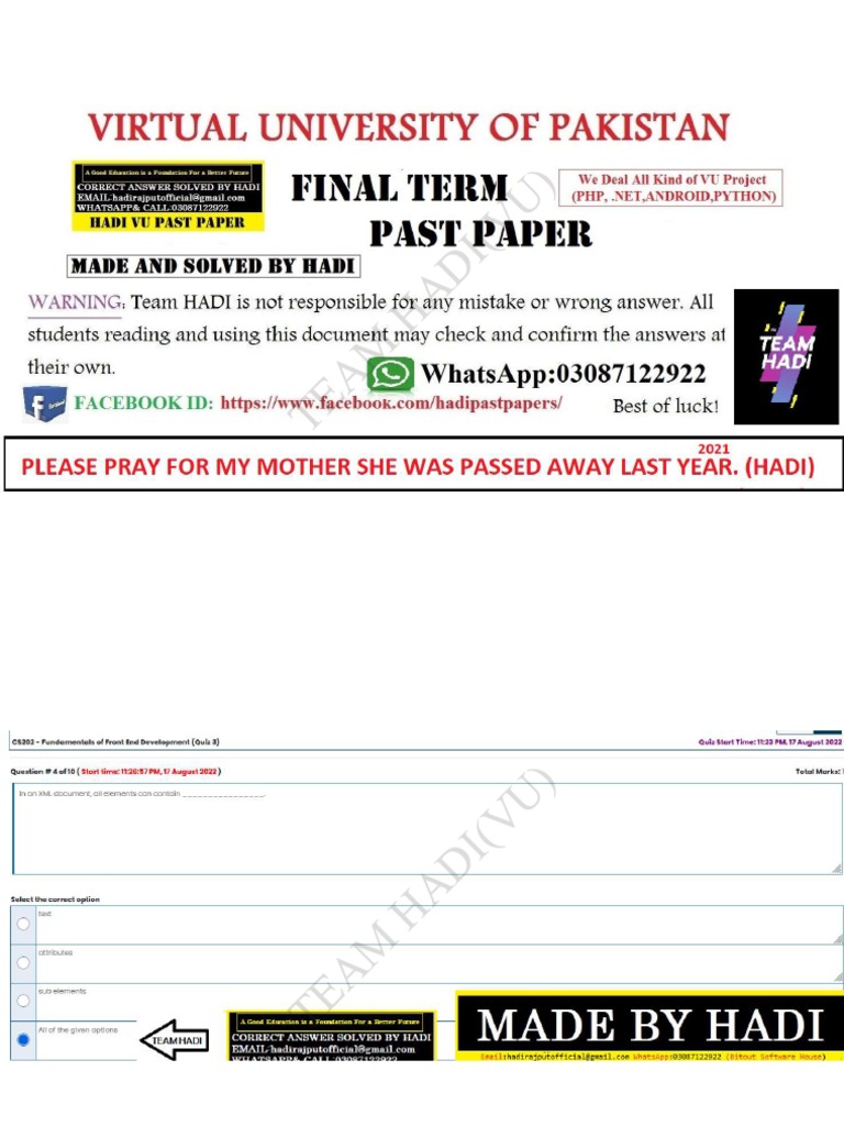 CS202 Final Term File 1 Solved by Team Hadi | PDF