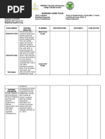 Nursing Care Plan Colostomy | PDF | Clinical Medicine | Medical Specialties