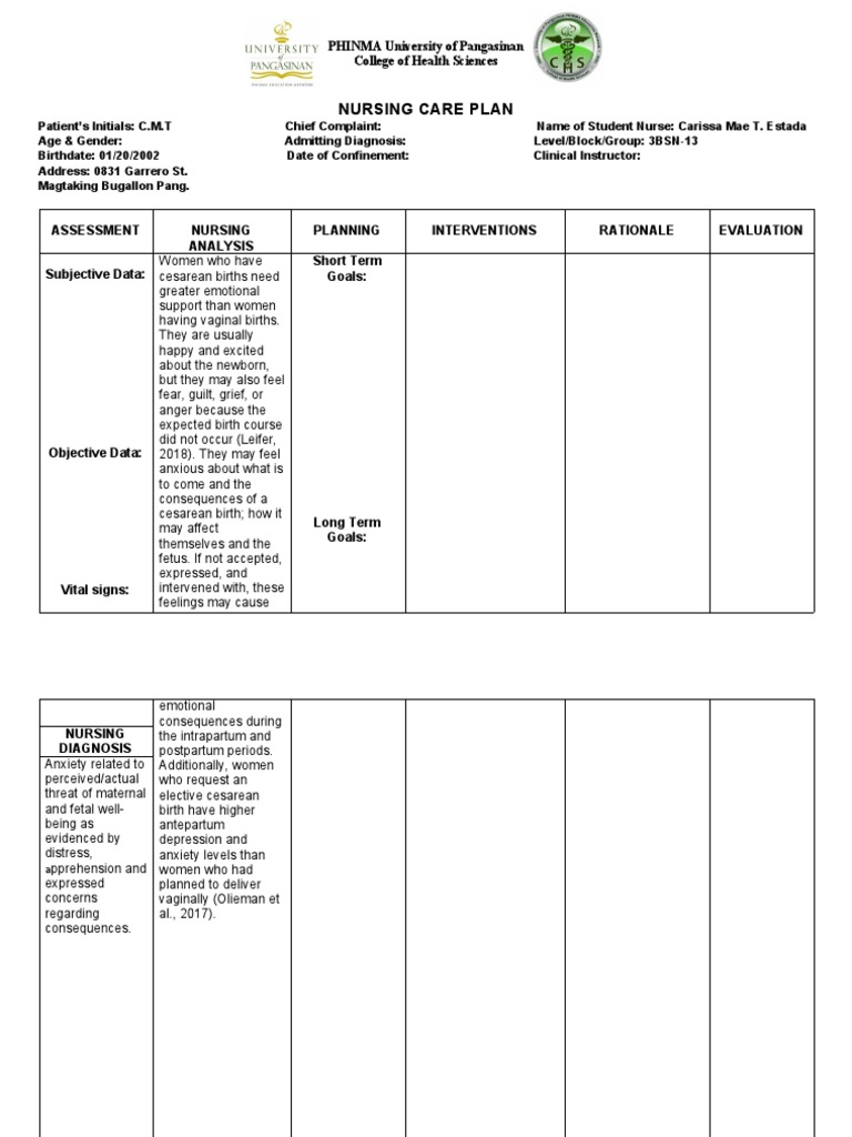 Nursing Care Plan Template | PDF
