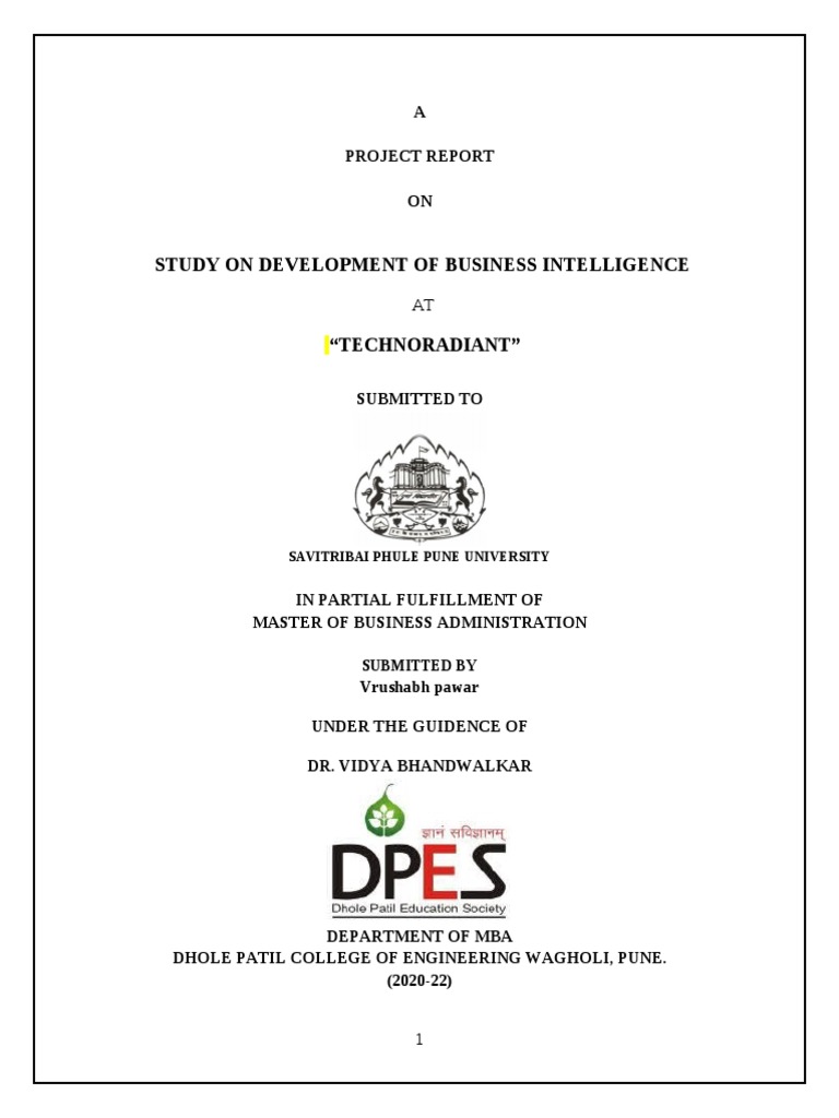 Business Intelligence Development at TechnoRadiant | PDF | Business ...