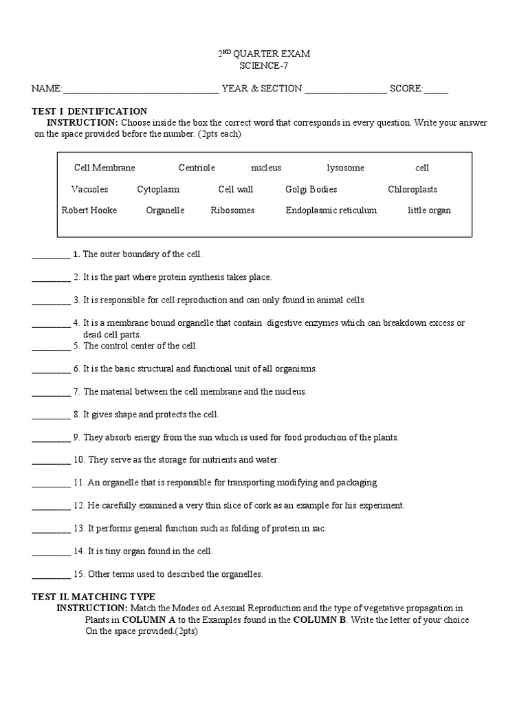 7th Grade Science Exam: 2nd Quarter | PDF | Cell (Biology) | Organelle