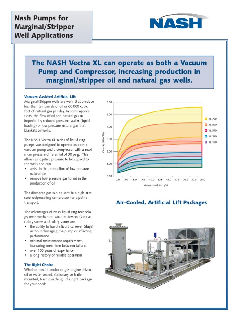 1113 Marginal-Stripper Wells | PDF | Pump | Natural Gas