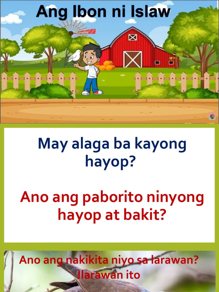 Gr2-Ang Ibon Ni Islaw | PDF