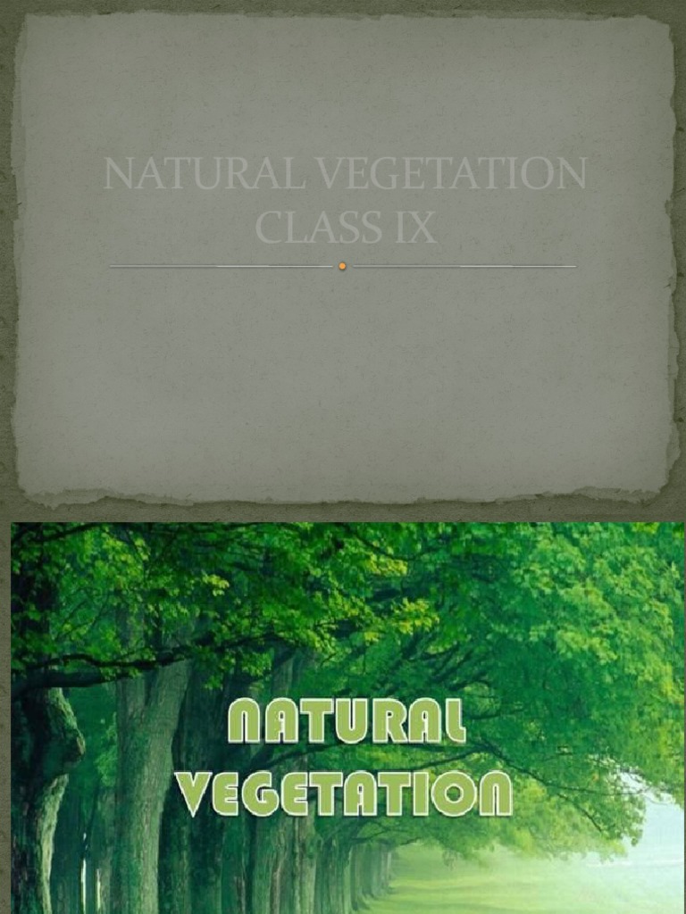 Natural Vegetation Class Ix | PDF | Forests | Precipitation