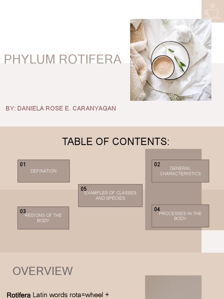 Overview of Phylum Rotifera Characteristics | PDF | Biology | Zoology