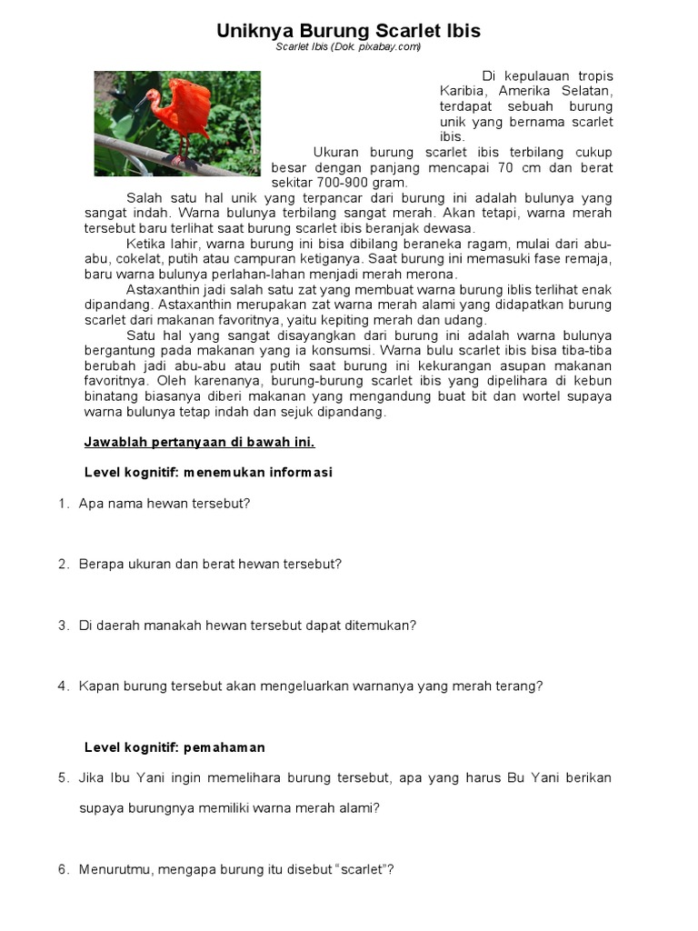 Uniknya Burung Scarlet Ibis | PDF